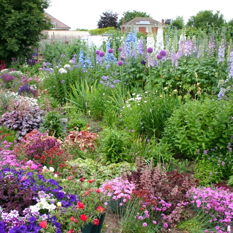 The Chelsea Chop with Darlac Tools | Mr Fothergill’s