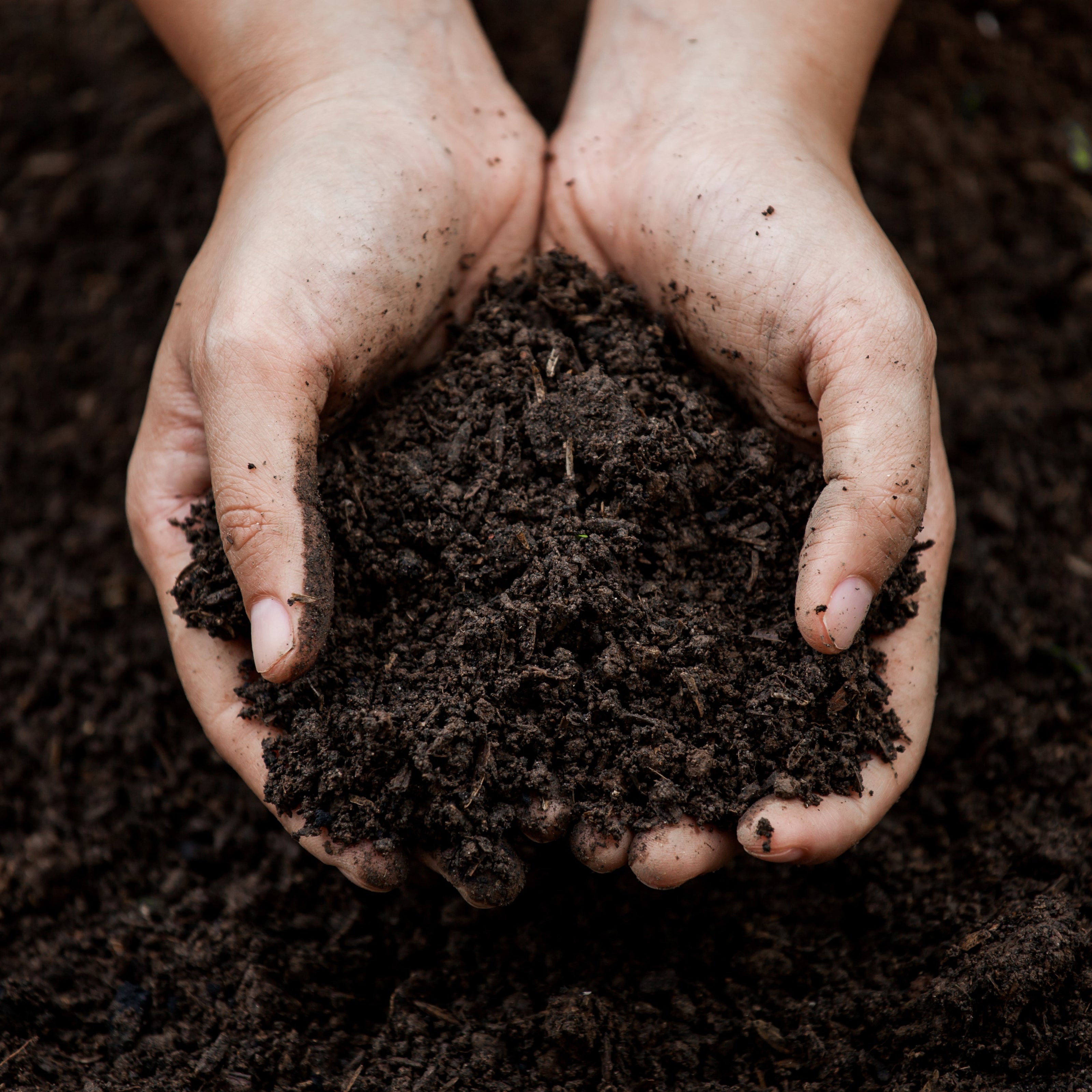 High-Quality Compost | Fothergill's