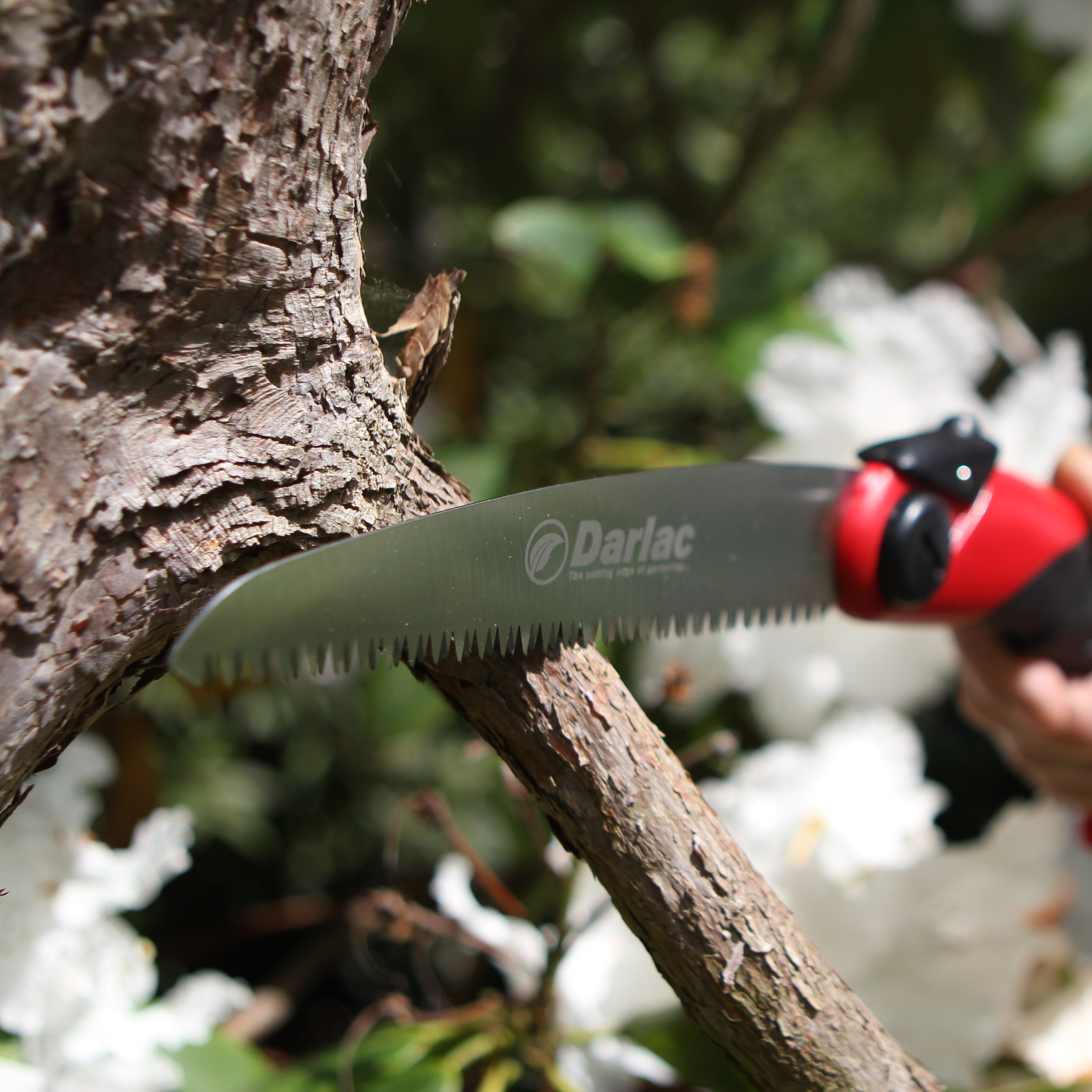 All Darlac tools | Buy Darlac Tools | Mr Fothergill's