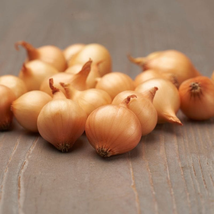 Onion Sets | Onion Set Planting | Fothergill's