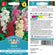 Stock Dwarf Ten Week Mixed Seeds from Mr Fothergill's Seeds and Plants