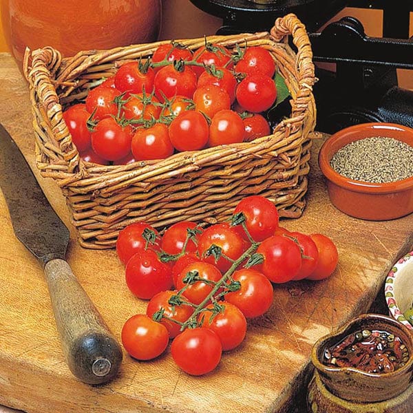 Tomato (Cherry) Sakura F1 Seeds from Mr Fothergill's Seeds and Plants