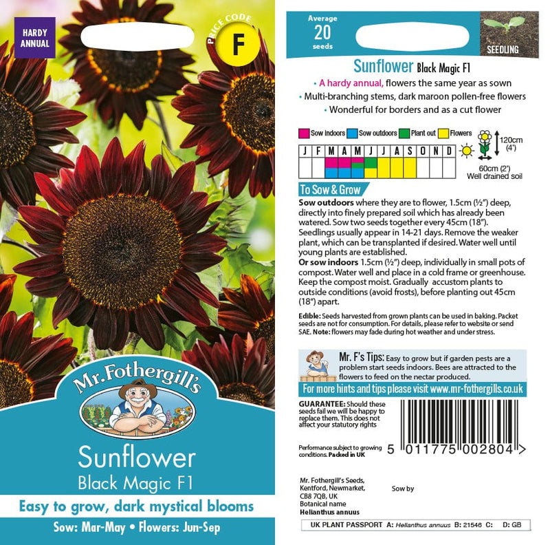 Sunflower Black Magic F1 Seeds from Mr Fothergill's Seeds and Plants