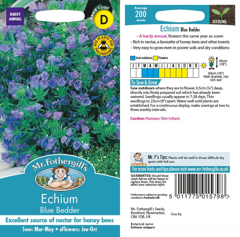 Echium Blue Bedder Seeds from Mr Fothergill's Seeds and Plants