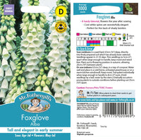 Foxglove Alba Seeds from Mr Fothergill's Seeds and Plants