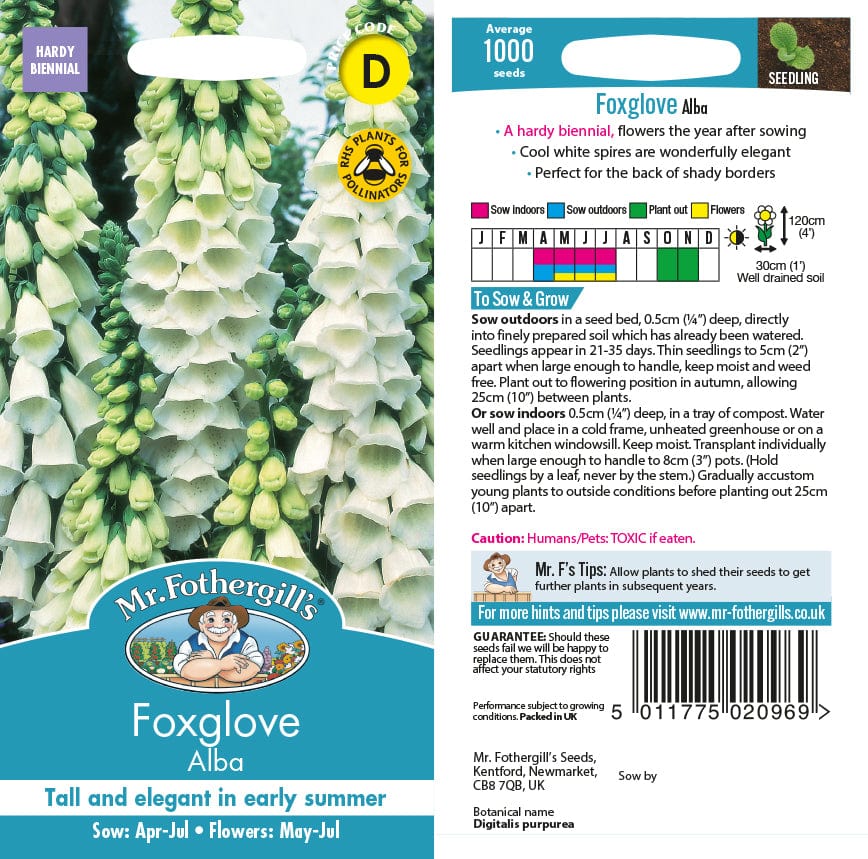 Foxglove Alba Seeds from Mr Fothergill's Seeds and Plants