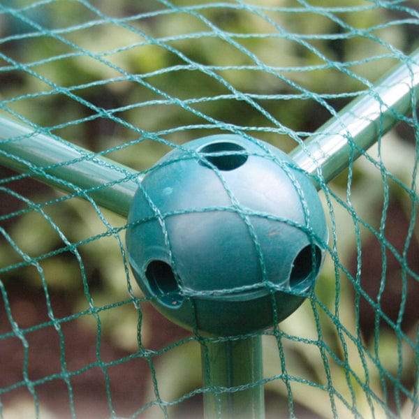 Build-a-Balls from Mr Fothergill's Seeds and Plants