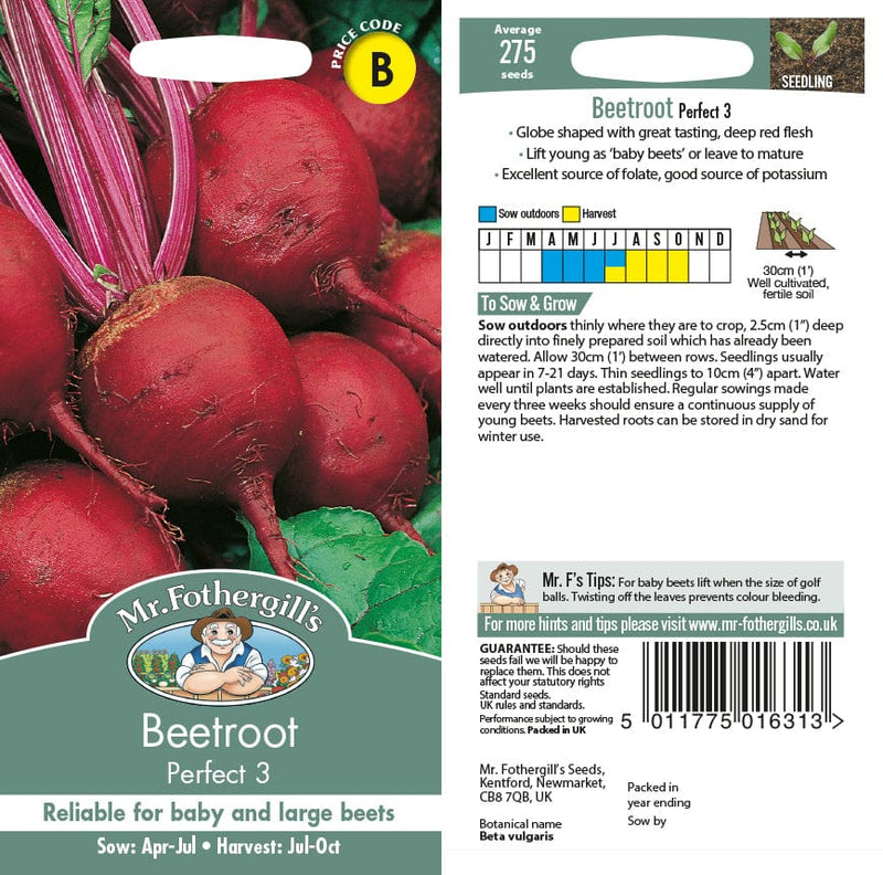 Beetroot Perfect 3 Seeds from Mr Fothergill's Seeds and Plants
