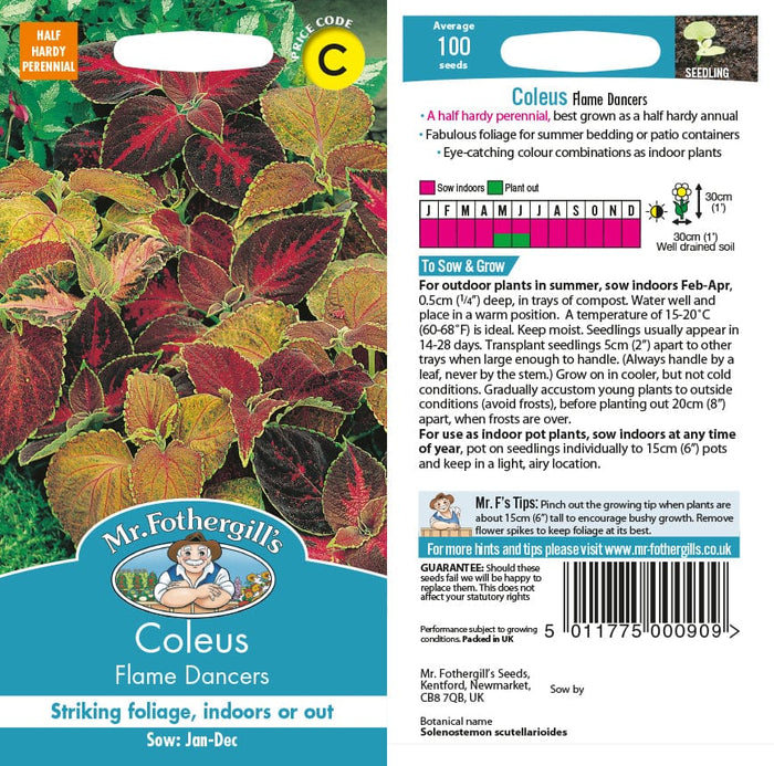 Coleus Seeds | Buy Coleus Seeds | Mr Fothergill's