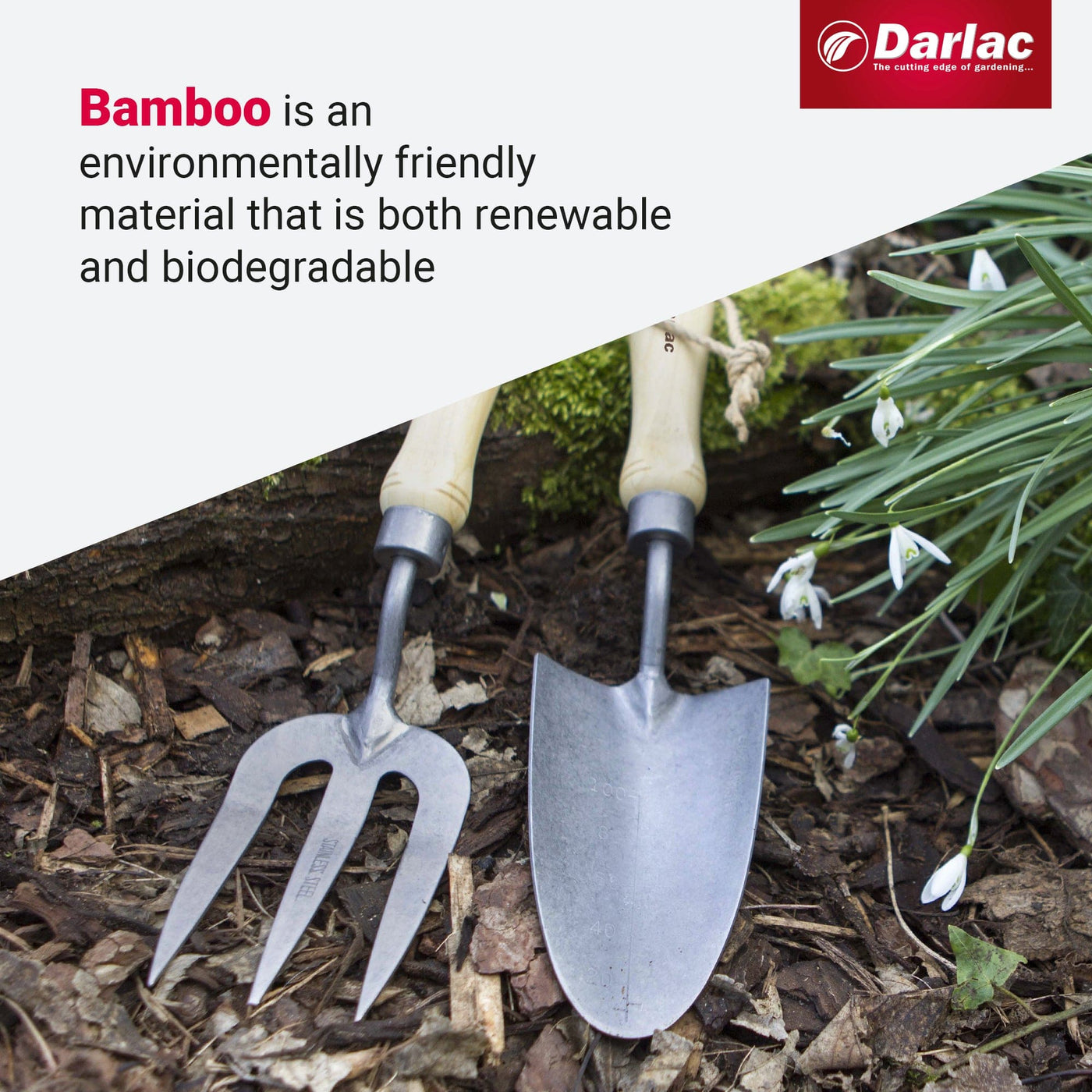 Darlac Bamboo Garden Trowel From Mr Fothergill's Seeds and Plants