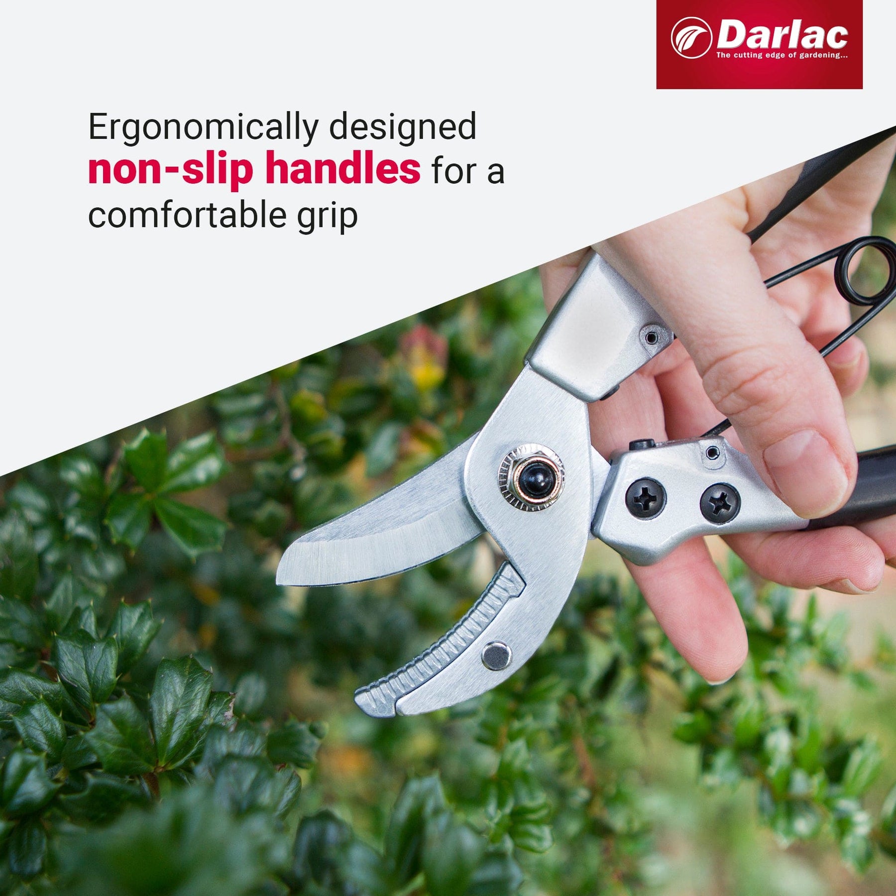 Darlac Compact Anvil Secateurs From Mr Fothergills Seeds and Plants