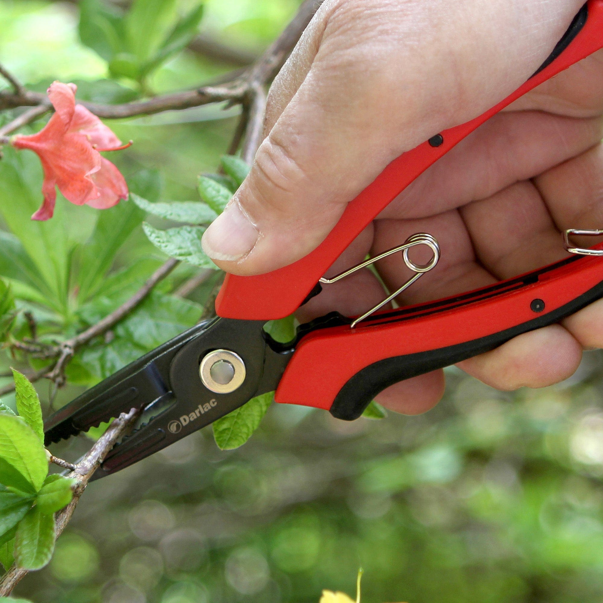 Darlac Cut-n-Hold Flower Snip From Mr Fothergills Seeds and Plants