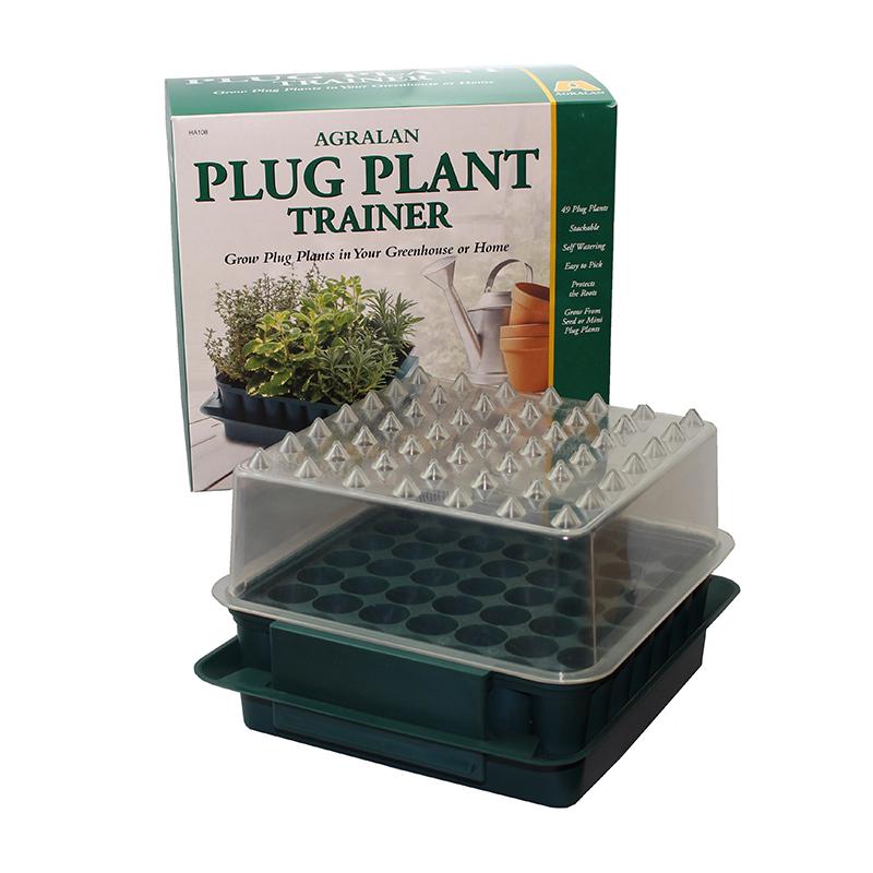 Compact Plug Plant Trainer from Mr Fothergill's Seeds and Plants