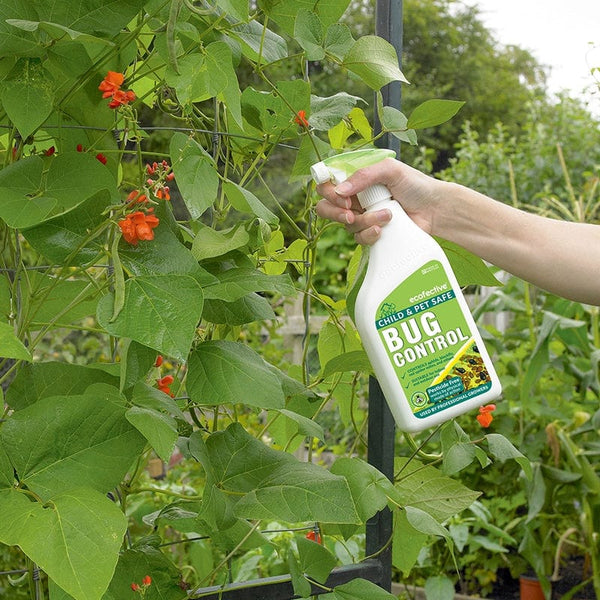 Ecofective Bug Control Spray and Concentrate Refill From Mr Fothergill ...