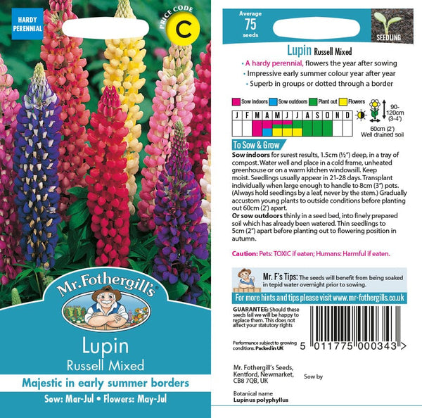 Lupin Seeds | Buy Lupin Seeds | Fothergill's