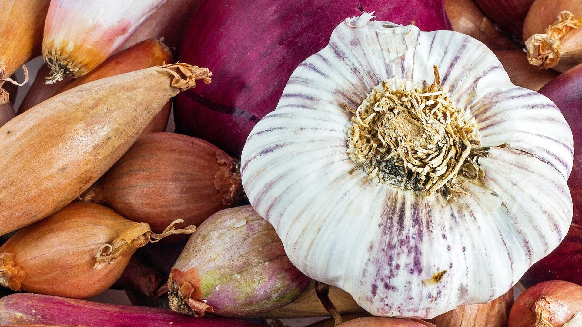 How To Grow Onion and Shallot Sets From Mr Fothergill's Seeds and Plants