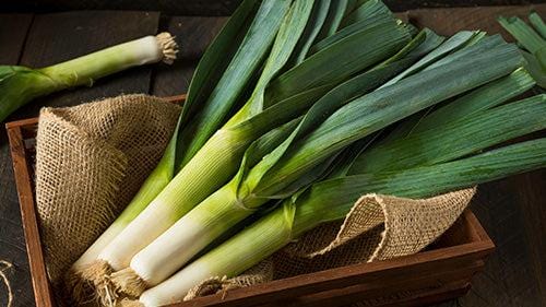 How to Grow Leeks | Growing Guide | Mr Fothergill’s