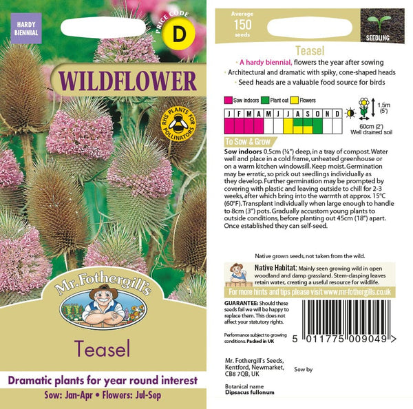 Teasel Seeds from Mr Fothergill's Seeds and Plants